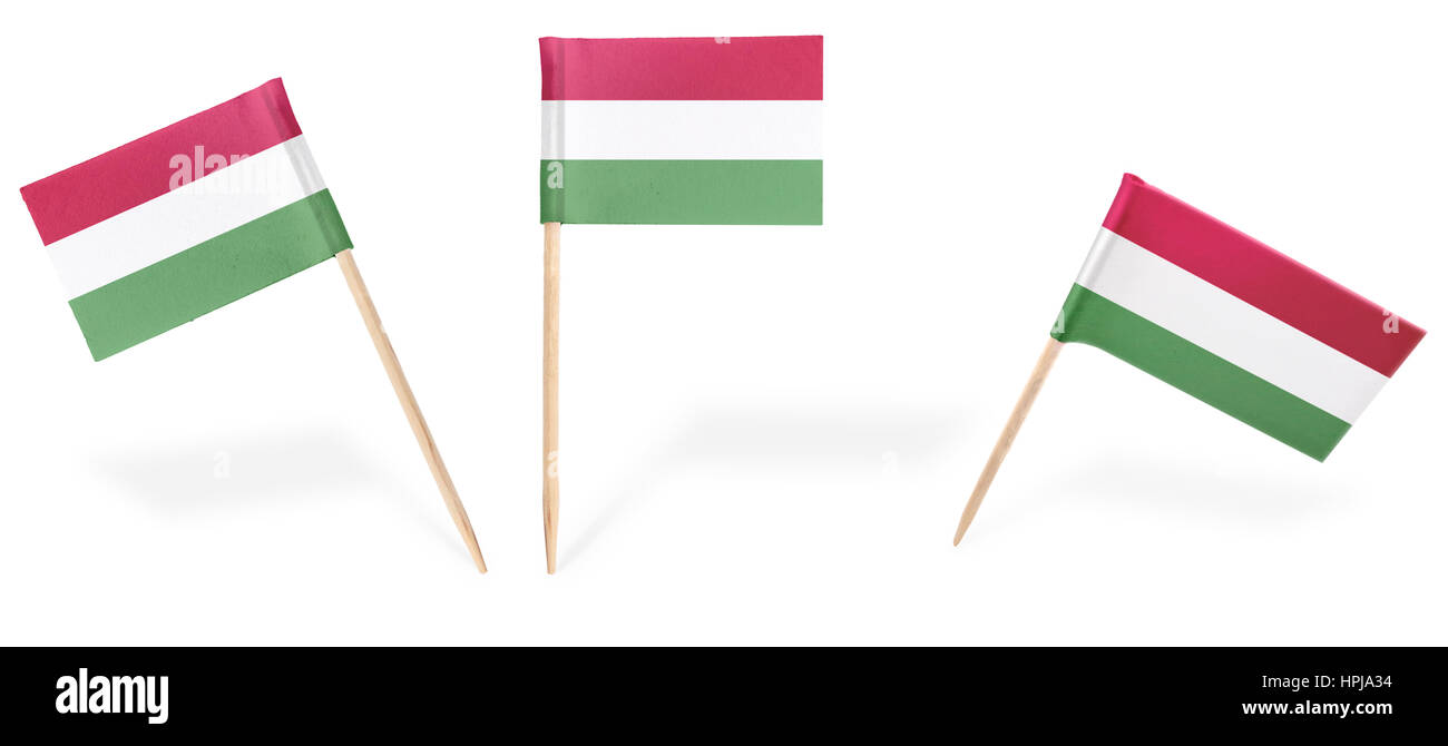 Small cocktail flags of Hungary in different positions isolated on ...