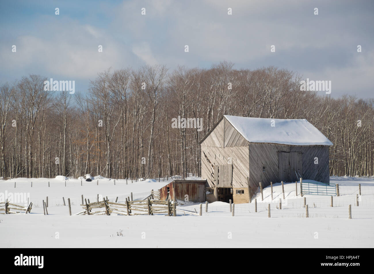 Snowy old barn on a sunny day. Barnboards run diagonally and are grey ...