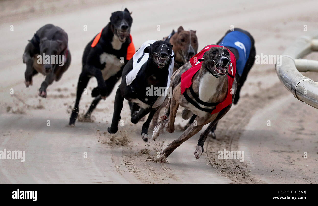 515m hi-res stock photography and images - Alamy