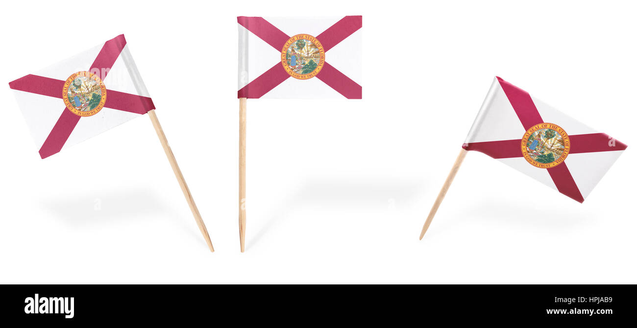 Small cocktail flags of Florida in different positions isolated on ...