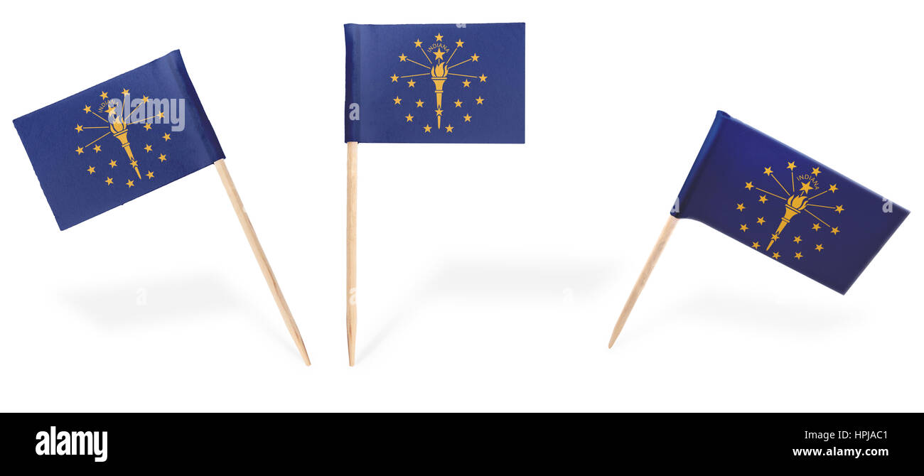 Small cocktail flags of Indiana in different positions isolated on ...