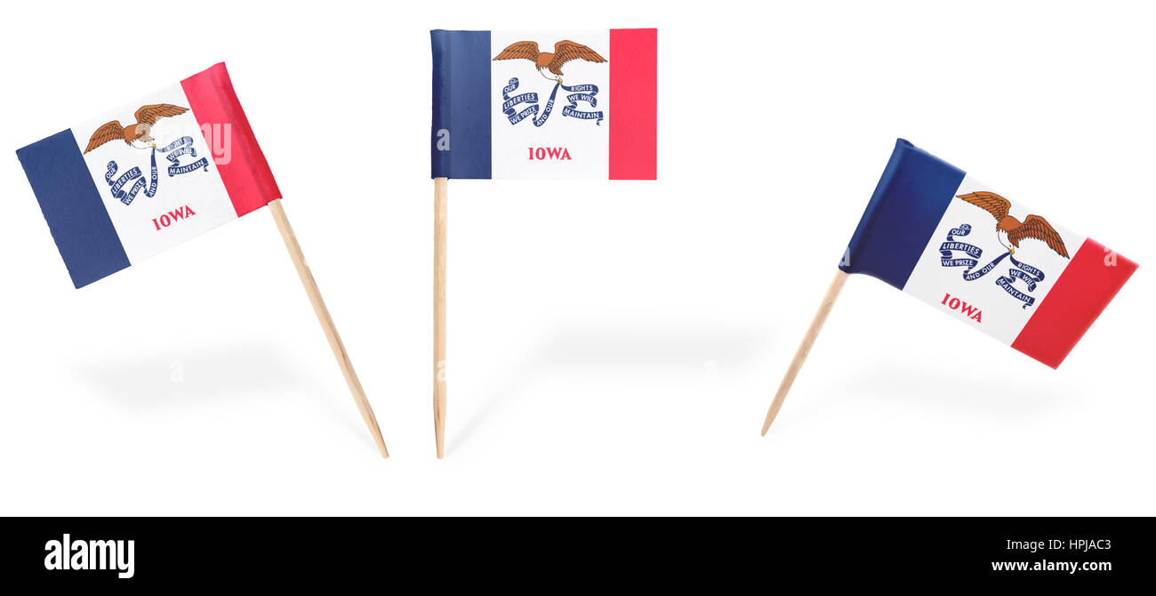 Small cocktail flags of Iowa in different positions isolated on white ...