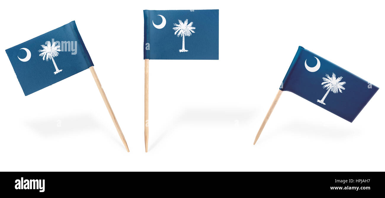 Small cocktail flags of South Carolina in different positions isolated ...