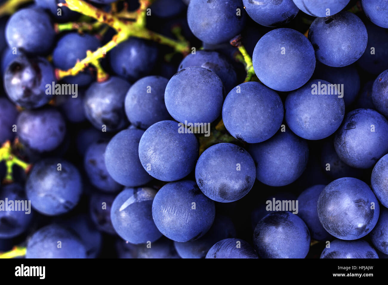 Making Wine And Grapes Wallpaper