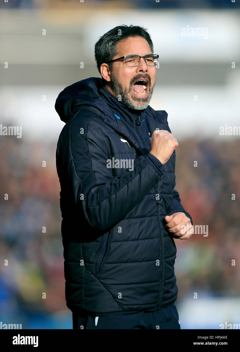 Huddersfield Town manager David Wagner Stock Photo - Alamy