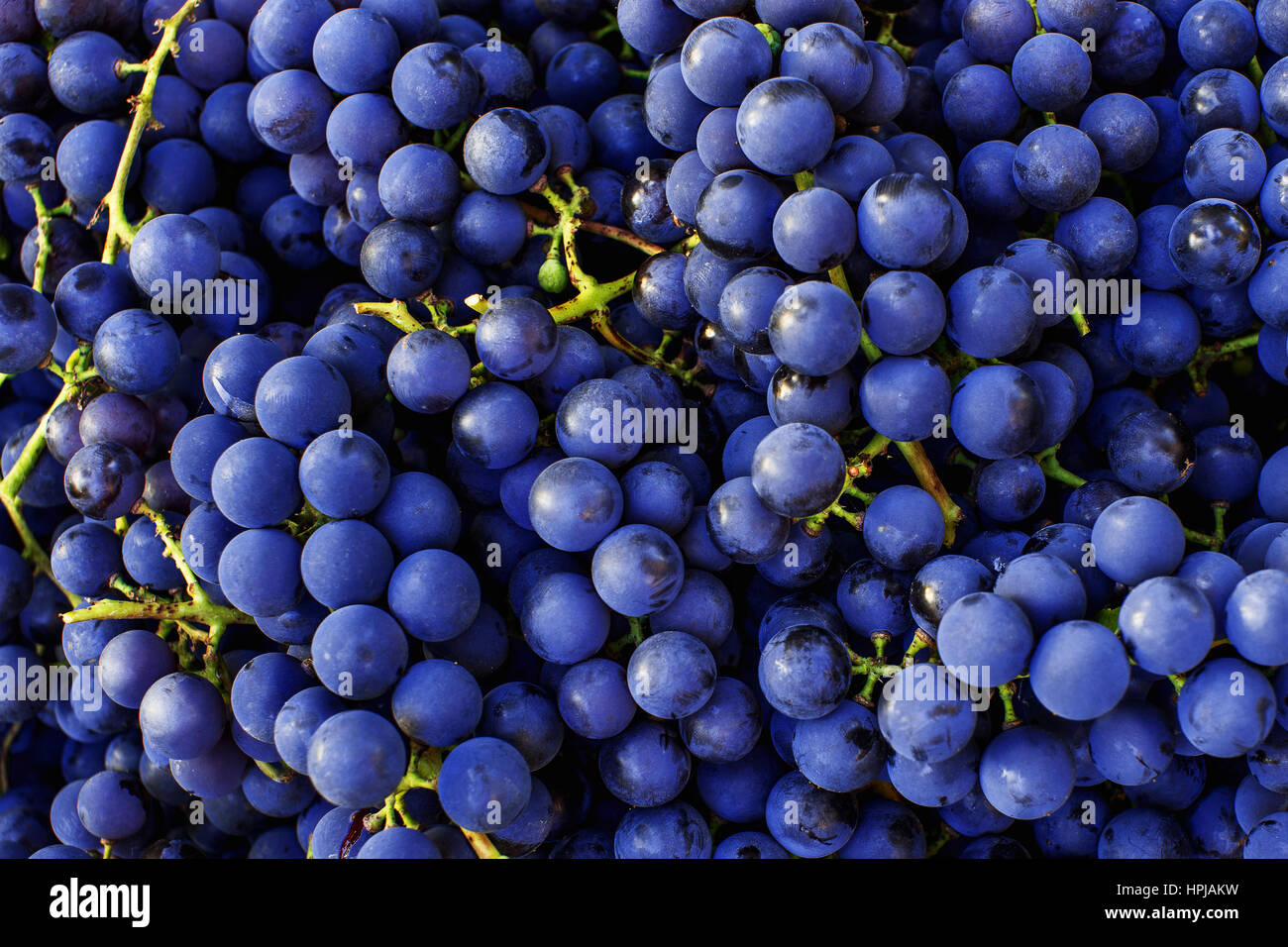 Red Grapes Wallpaper
