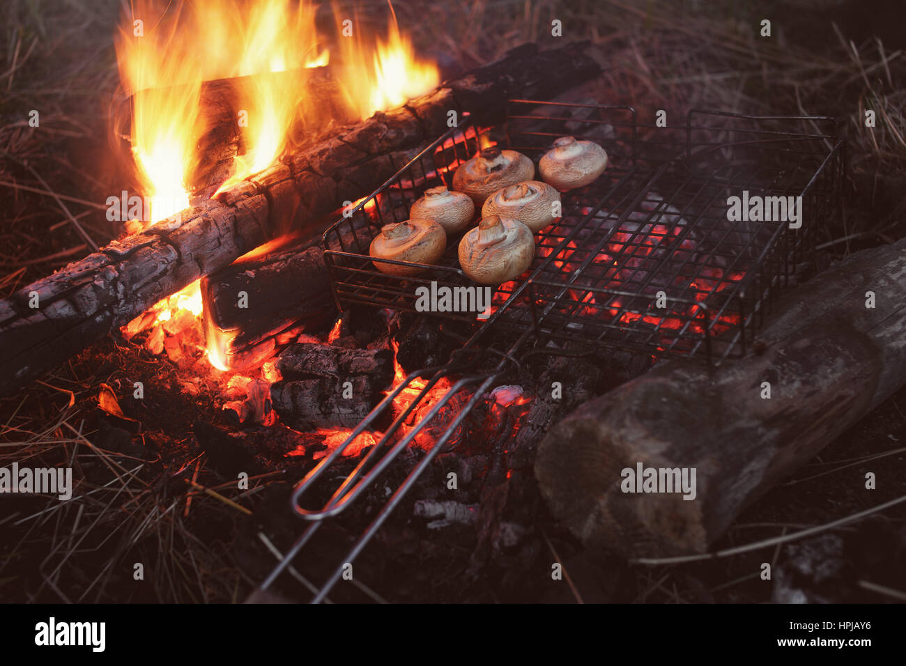 Campfire grilled mushrooms on a hike. Camp food cooked on fire at night ...
