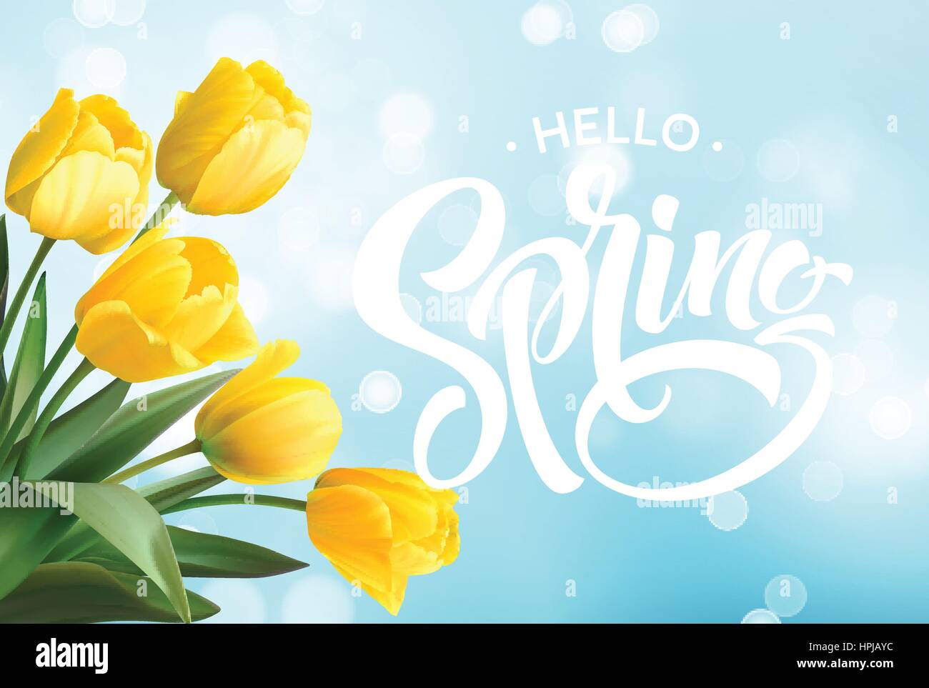 Hello Spring hand Lettering with tulip flower. Vector illustration ...