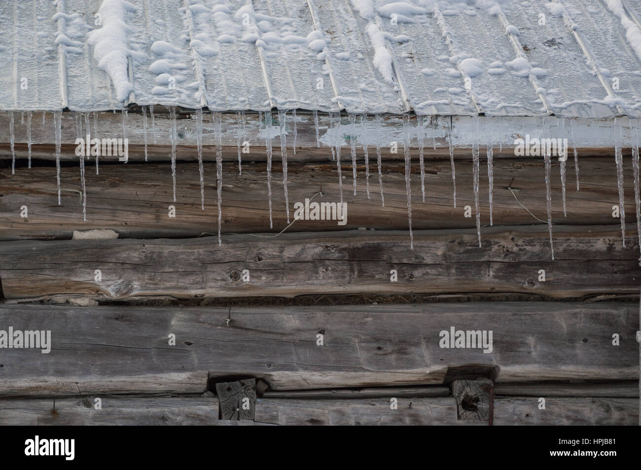 Wintertime snowy old pioneer log cabin barn with icicles. Sunny day ...