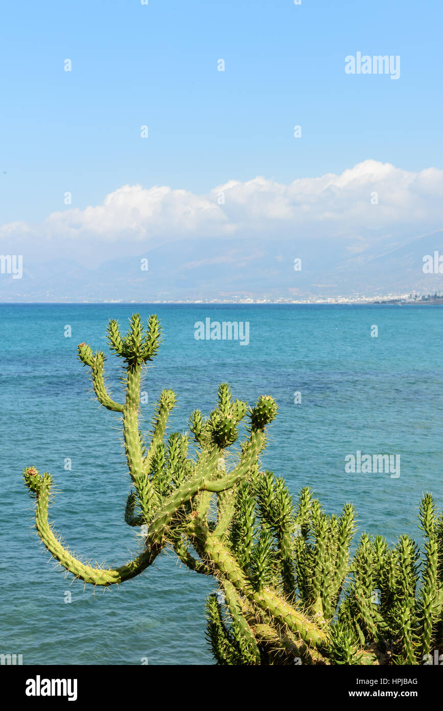 Hot seawater hi-res stock photography and images - Alamy