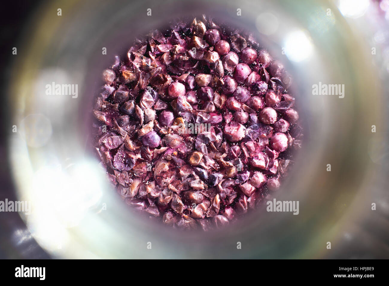 Wine making process hi-res stock photography and images - Alamy