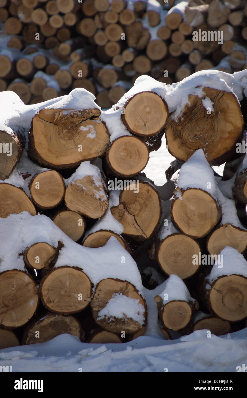 Stacked firewood lumber logs icovered in snow. Another stack of logs in ...