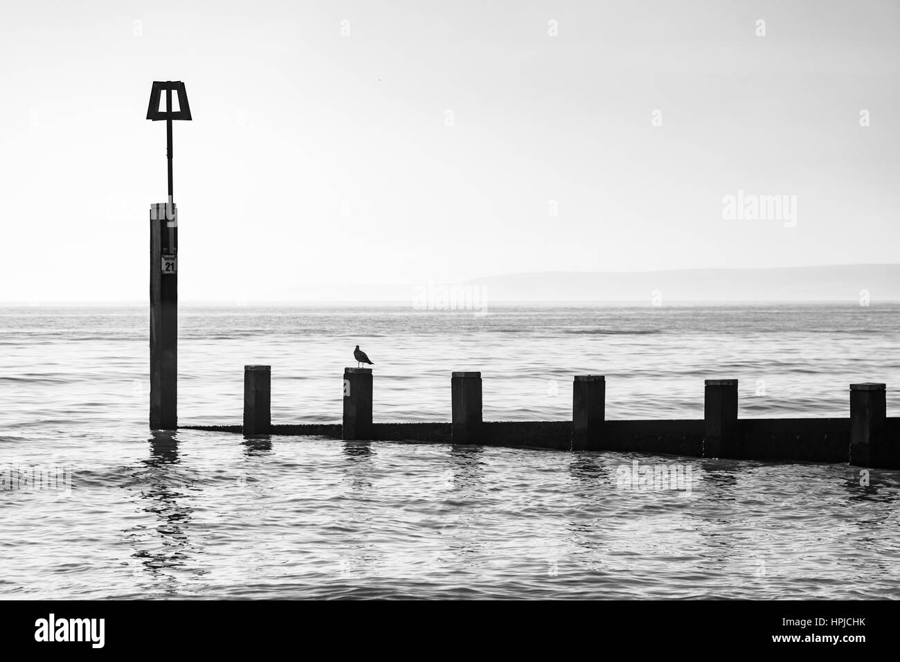 and in 3rd place Stock Photo - Alamy