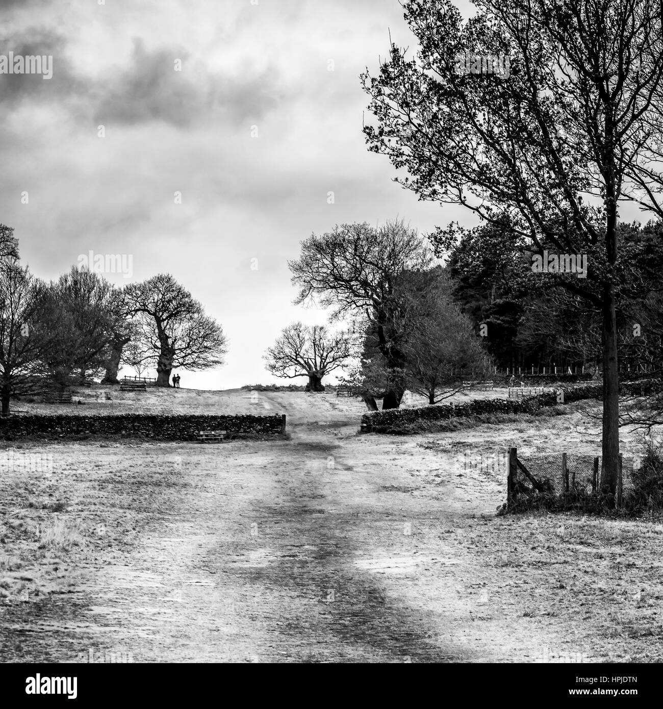 Bradgate park landscapes hi-res stock photography and images - Alamy