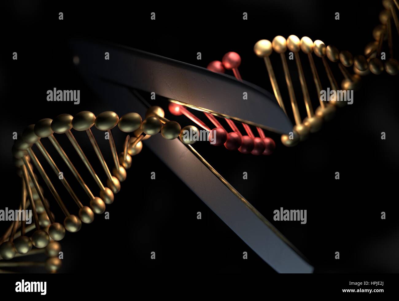 DNA strand in metal color cut by a scissor 3d render Stock Photo - Alamy