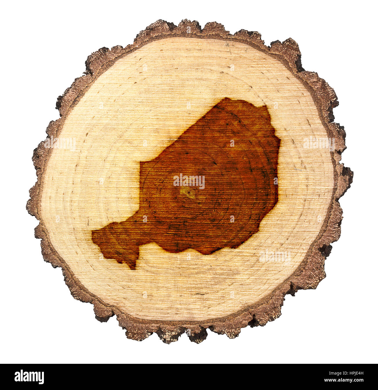 Nigerian tree Cut Out Stock Images & Pictures - Alamy