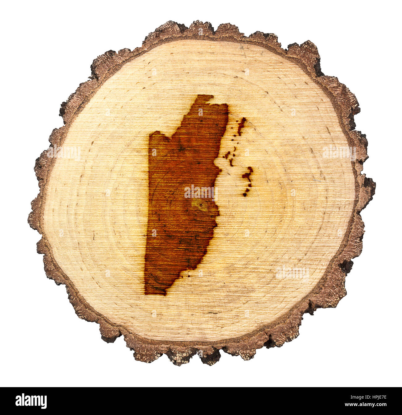 Rainforest logging belize hi-res stock photography and images - Alamy