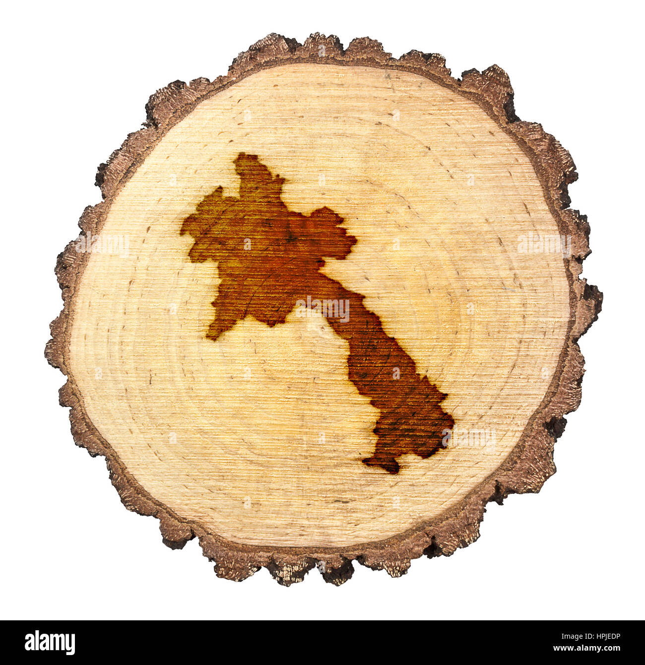 Laos rainforest Cut Out Stock Images & Pictures - Alamy