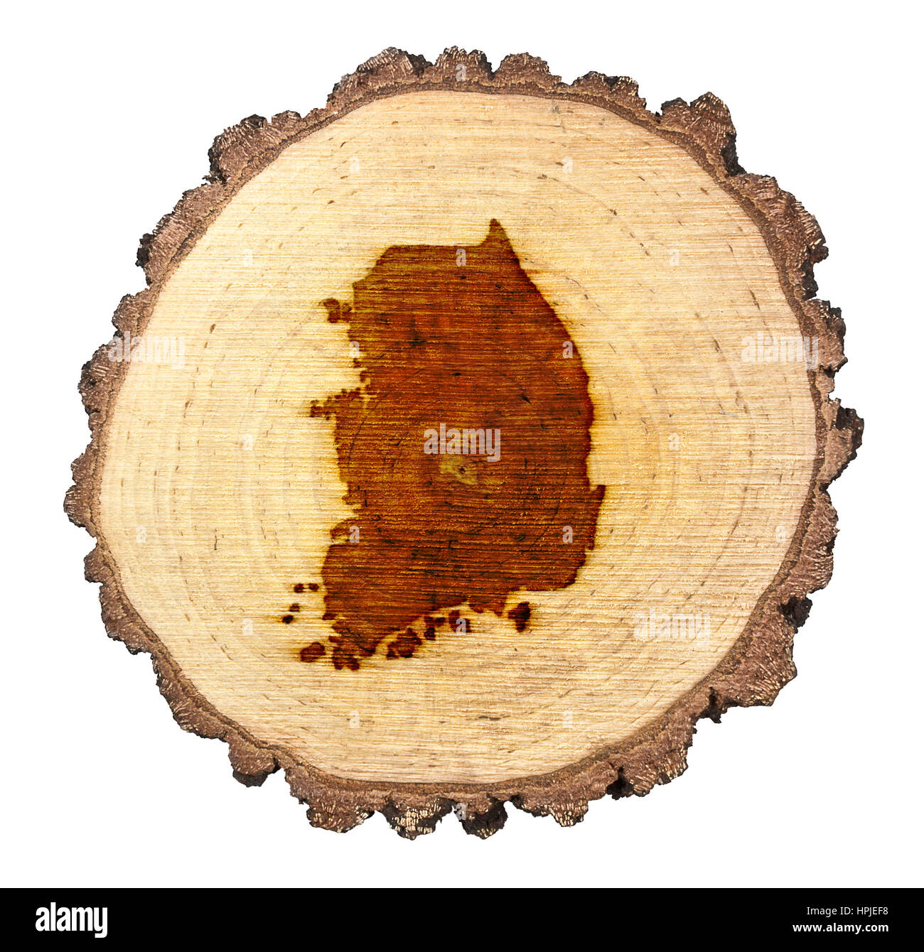 Korean oak hi-res stock photography and images - Alamy