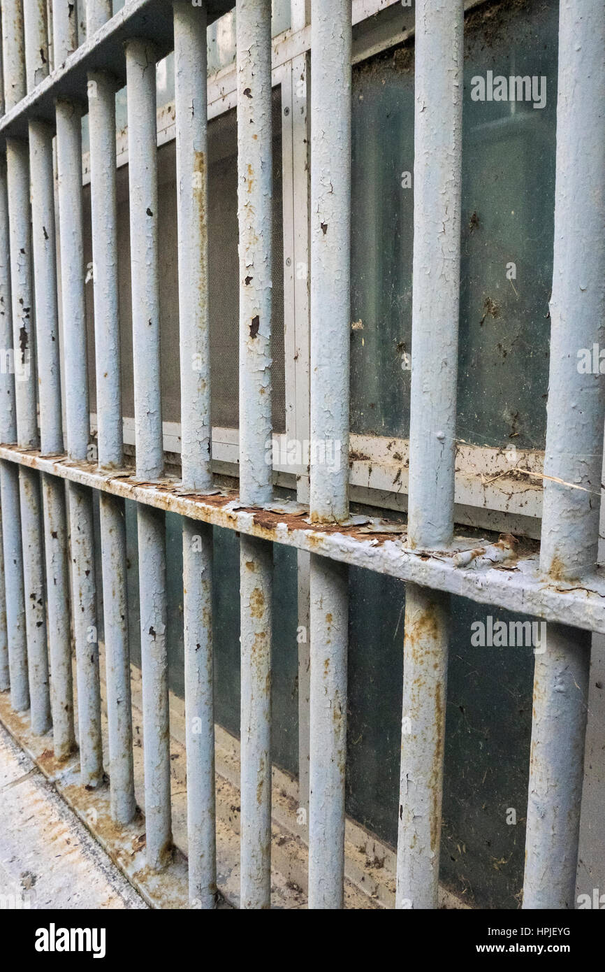 A window with bars in a justice prison hi-res stock photography and images - Alamy