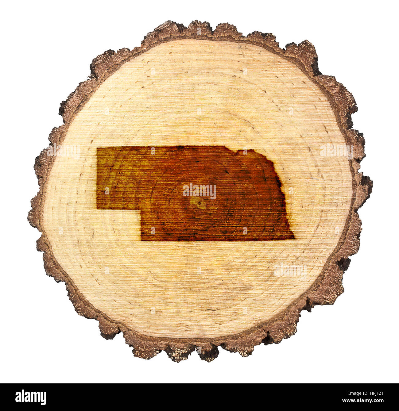 A slice of oak and the shape of Nebraska branded onto .(series Stock ...