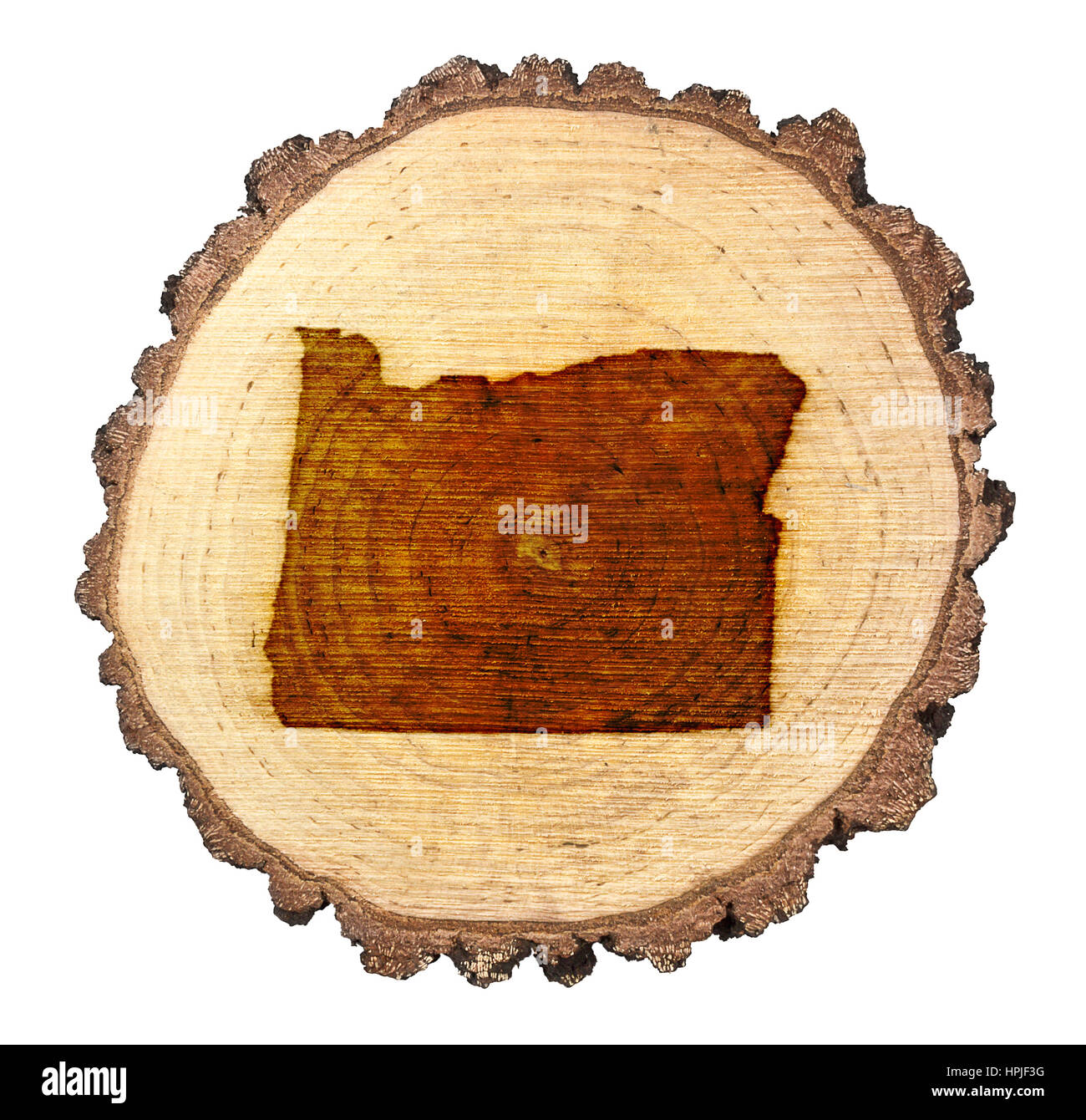 Oregon white oak tree Cut Out Stock Images & Pictures - Alamy