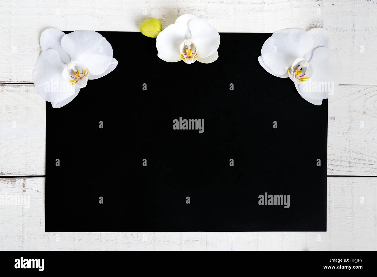 The black rectangle (A4 size) and a white wooden background decorated ...