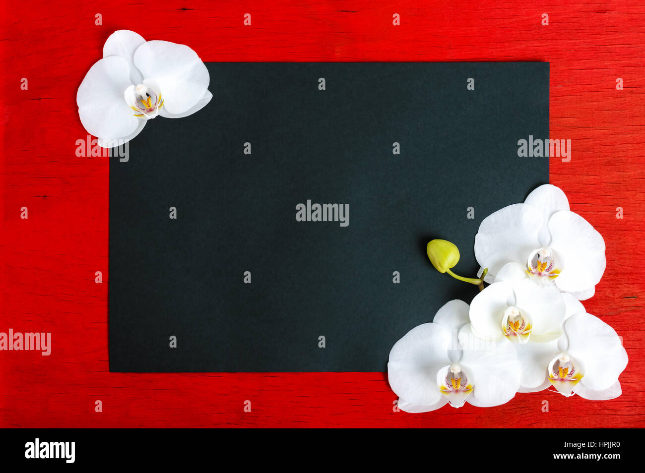 The black rectangle (A4 size) on a red wooden background decorated with ...