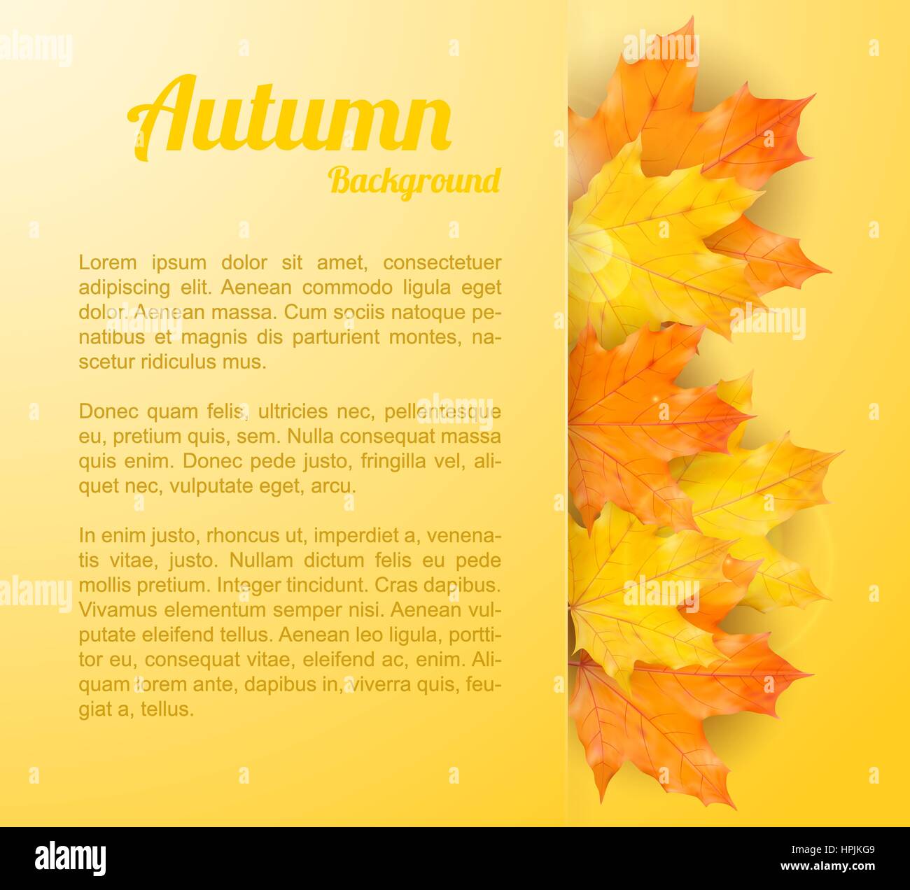Autumn background with realistic maple leaves. Vector back to school ...