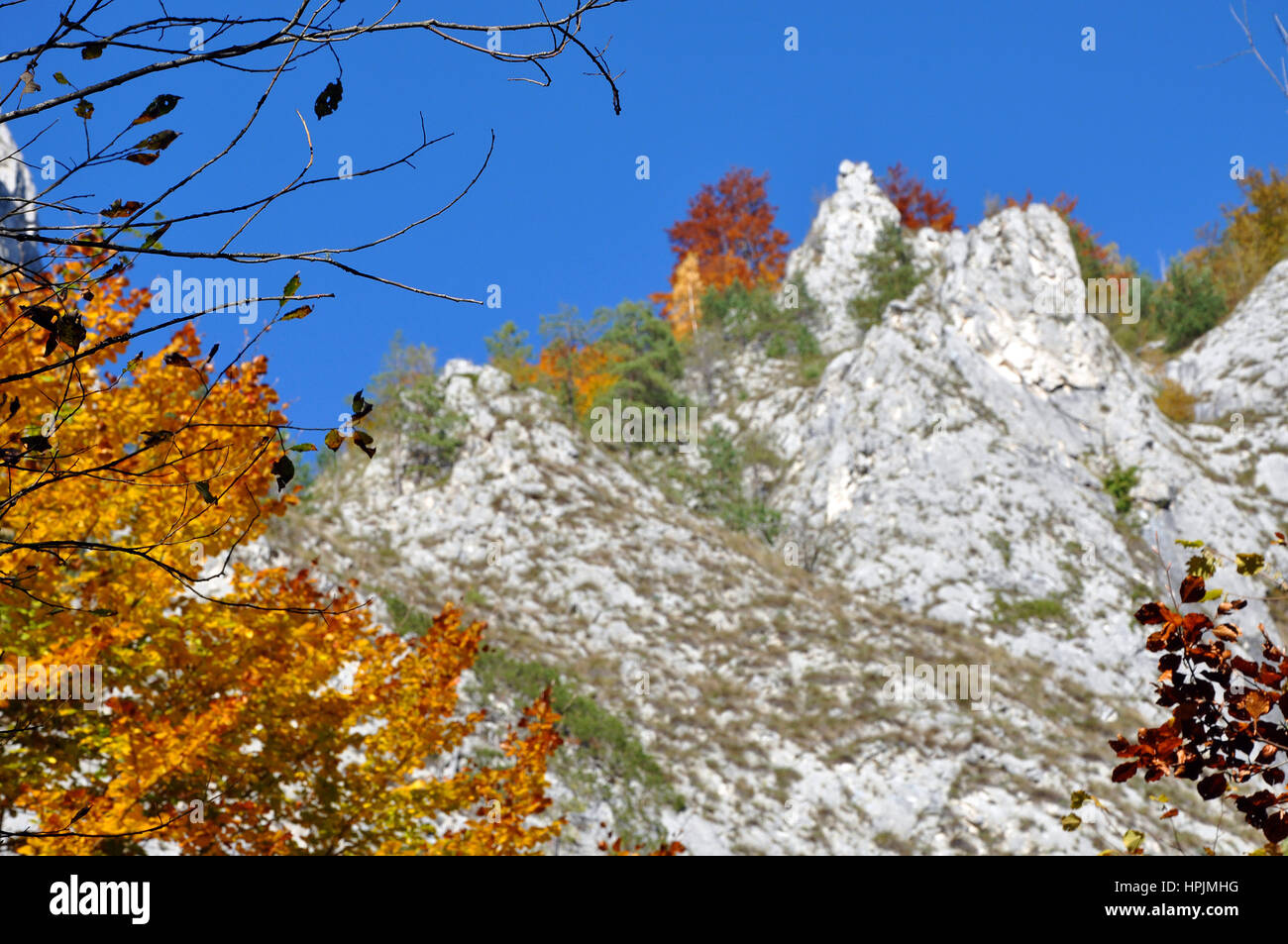 Autumn fall. Colorful autumn forest landscape in the mountains Stock ...