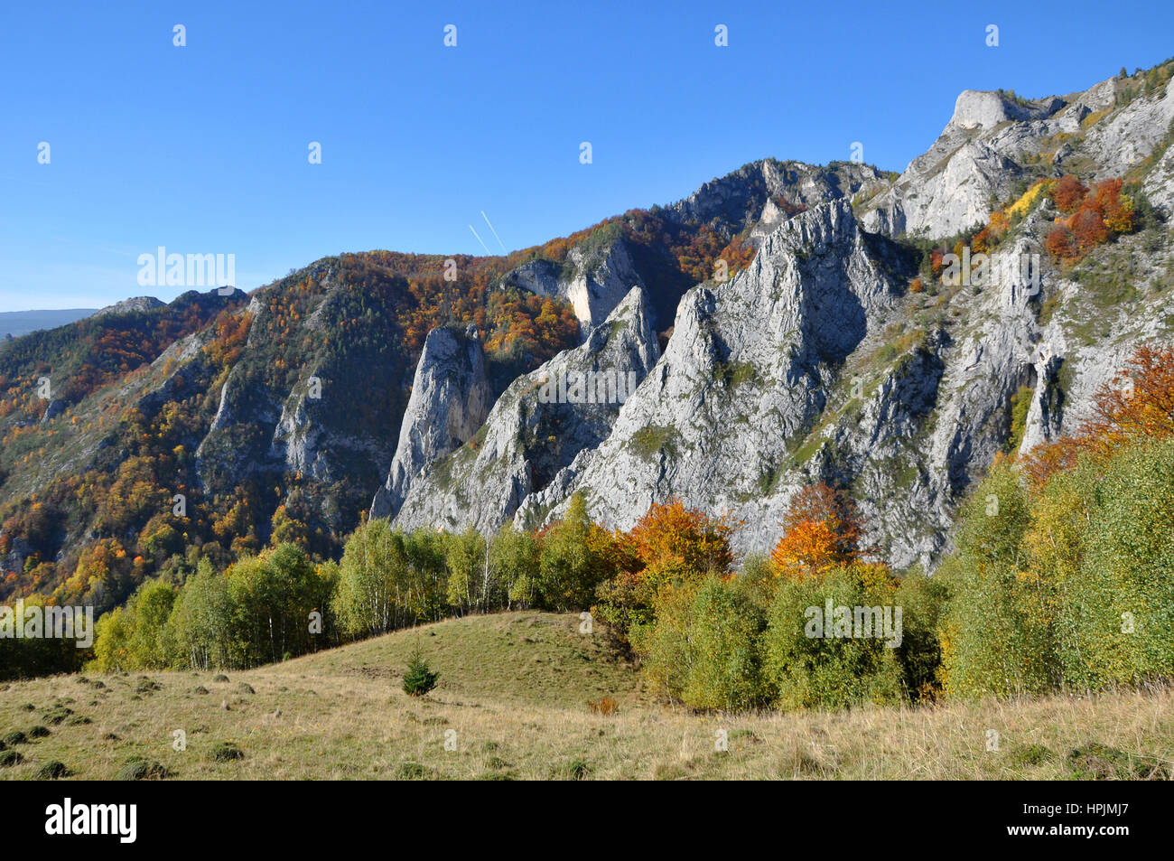 Autumn fall. Colorful autumn forest landscape in the mountains Stock ...