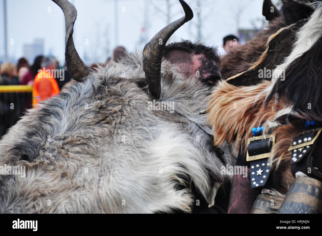 Goat bells hi-res stock photography and images - Alamy