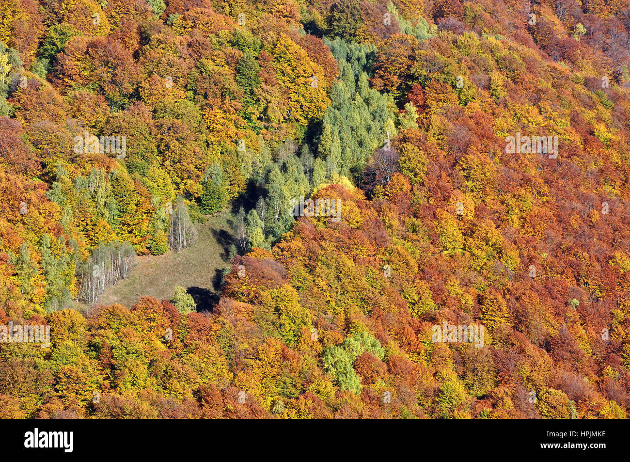 Autumn fall. Colorful autumn forest landscape in the mountains Stock ...