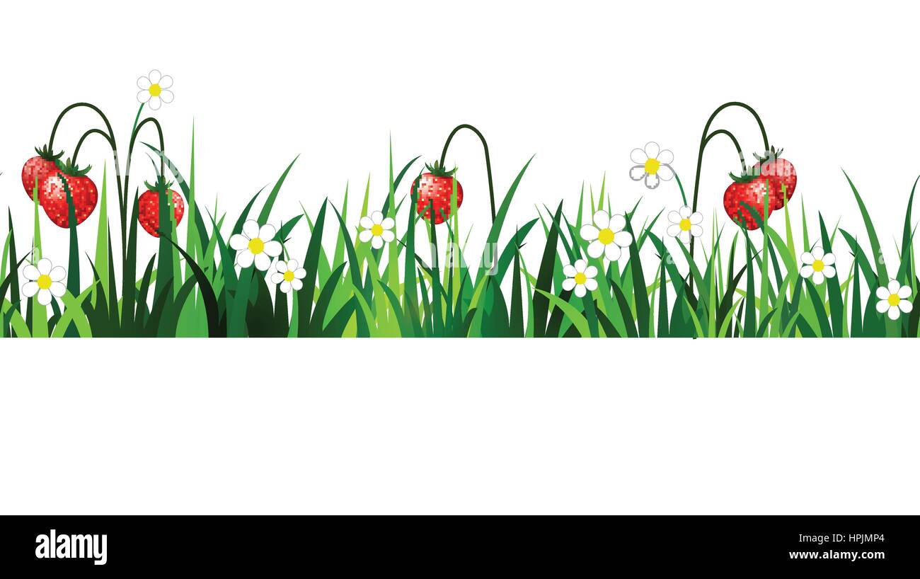 Grass edge garden Stock Vector Images - Alamy