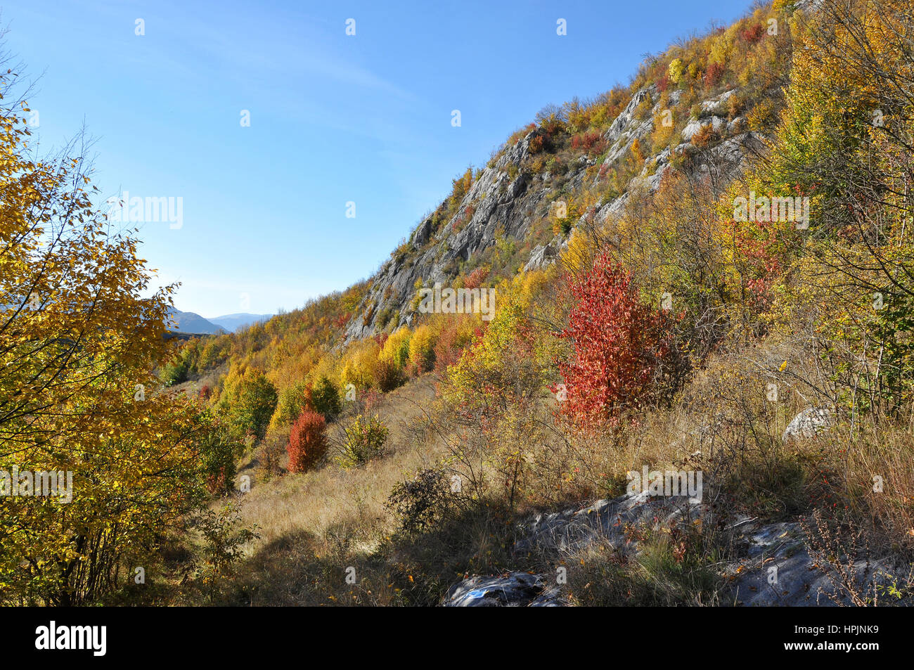 Mountain autumn landscape with colorful forest Stock Photo - Alamy