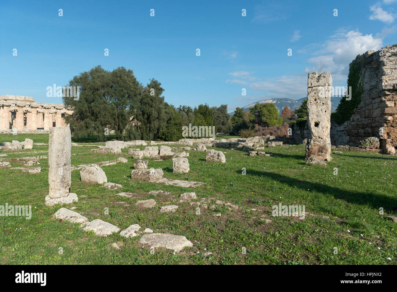 Paestum - famous archaeological site, the temple, graeco-roman ...