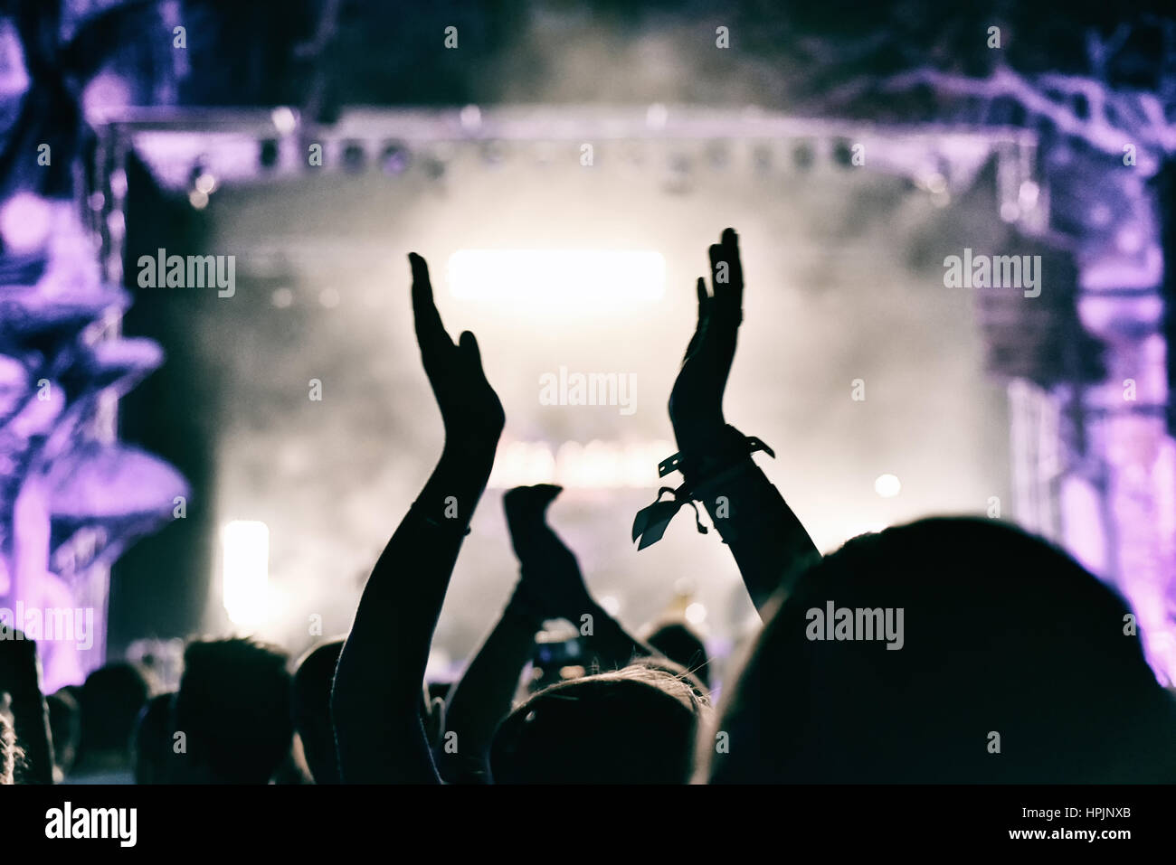 Concert crowd applauding at a music festival Stock Photo - Alamy