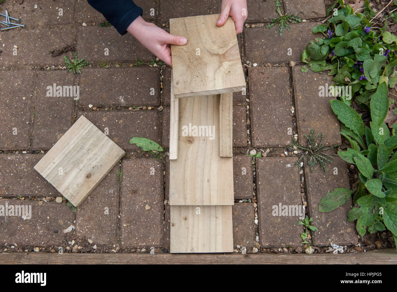 primary school kids making a bat box under supervision with some planks ...