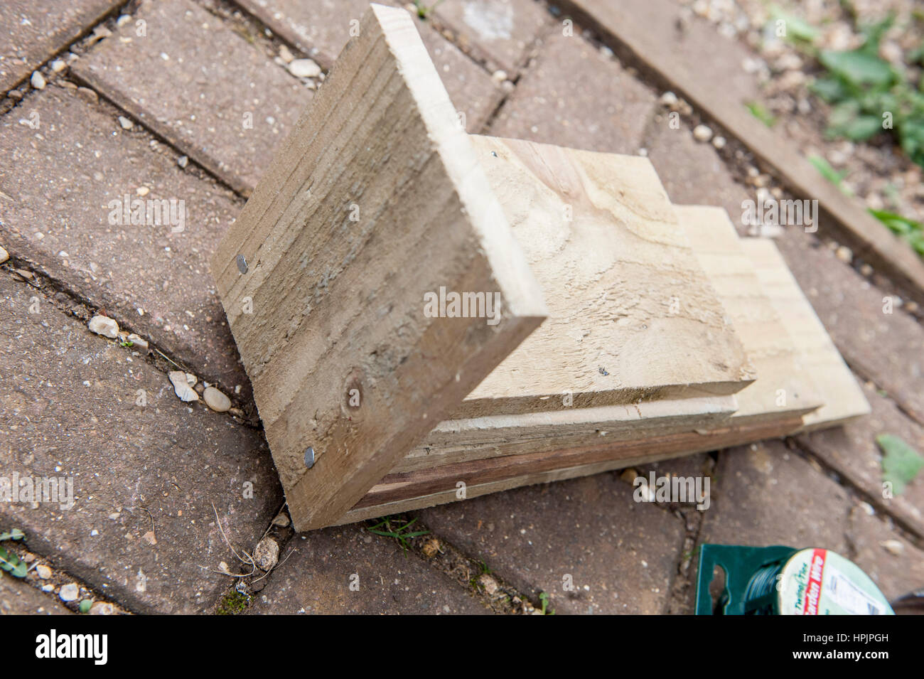primary school kids making a bat box under supervision with some planks ...