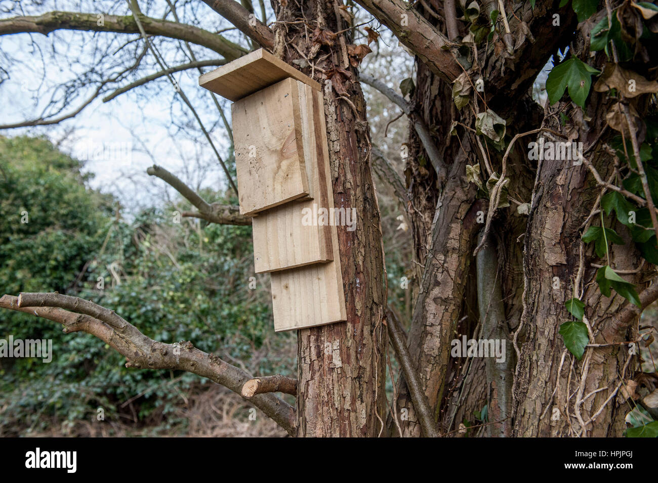 primary school kids making a bat box under supervision with some planks ...