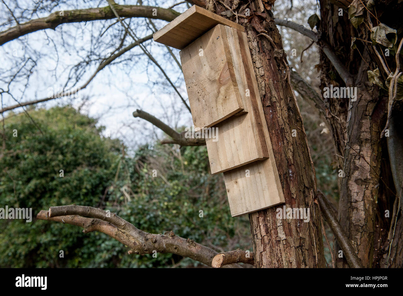 primary school kids making a bat box under supervision with some planks ...