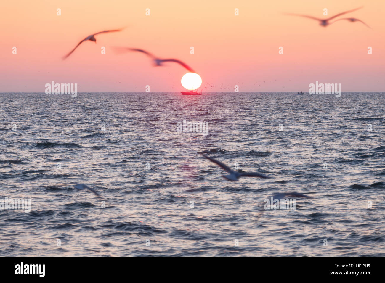 Rising sun above the sea with seagulls Stock Photo - Alamy