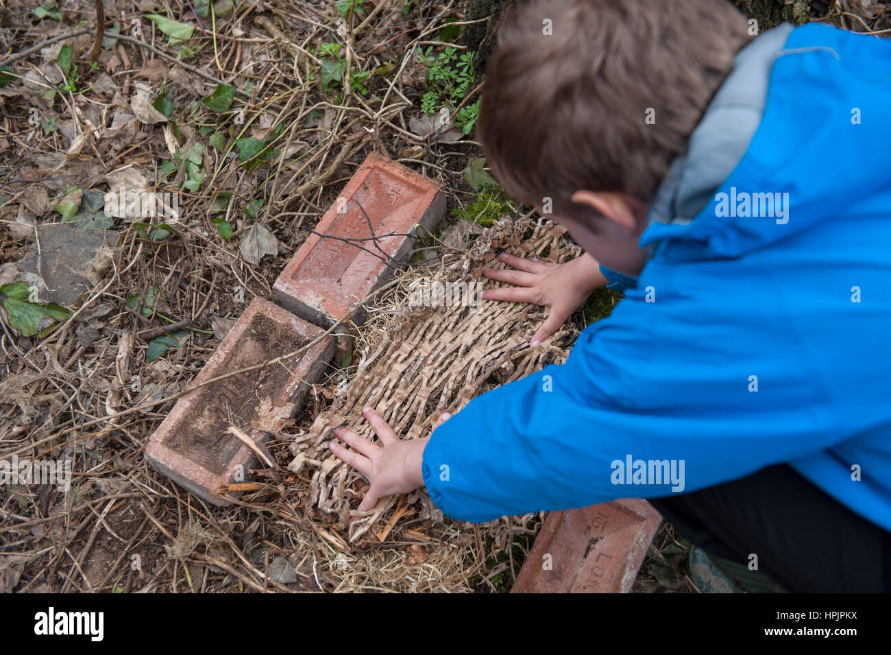 Primary school kids making a bug hotel. Pix illustrate the step by step ...