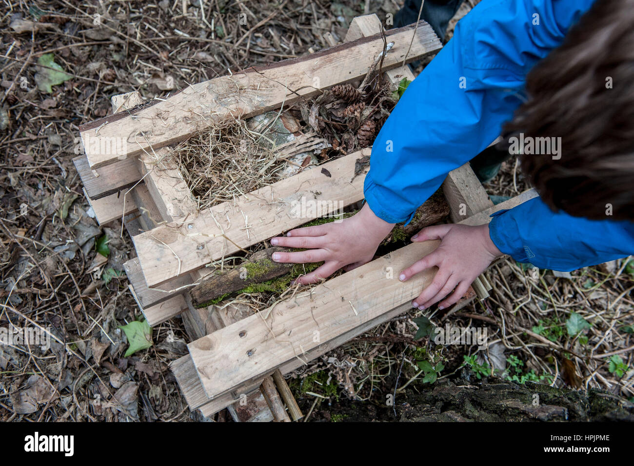 Primary school kids making a bug hotel. Pix illustrate the step by step ...