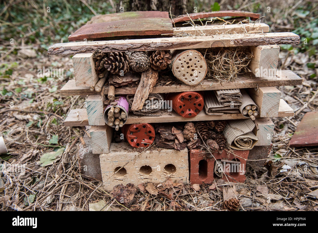 Primary school kids making a bug hotel. Pix illustrate the step by step ...
