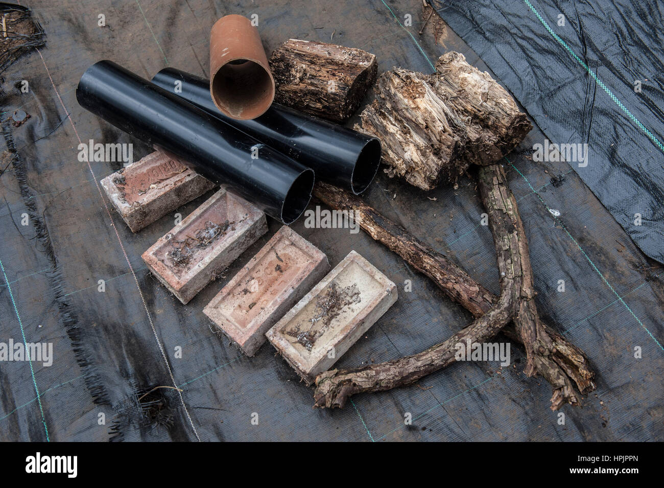 primary school kids building a hibernaculum step by step pictures ...