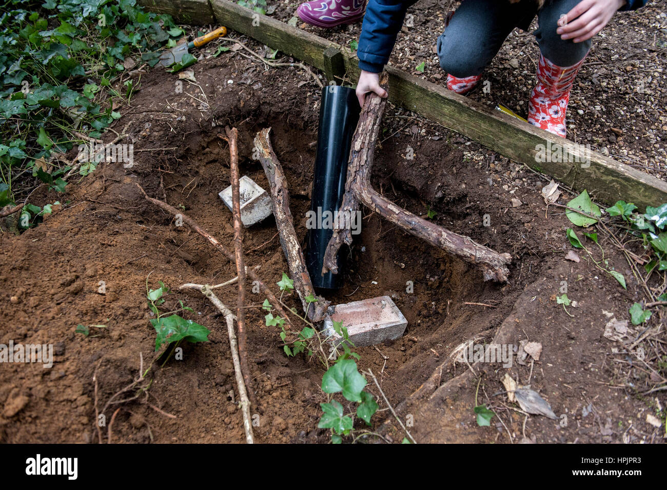 primary school kids building a hibernaculum step by step pictures ...