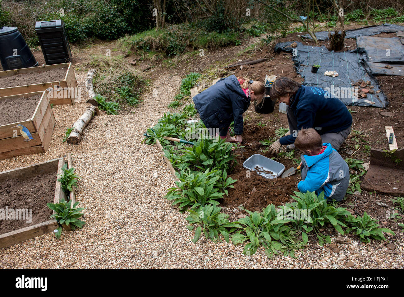 Primary school kids make a mini-pond UK Stock Photo - Alamy
