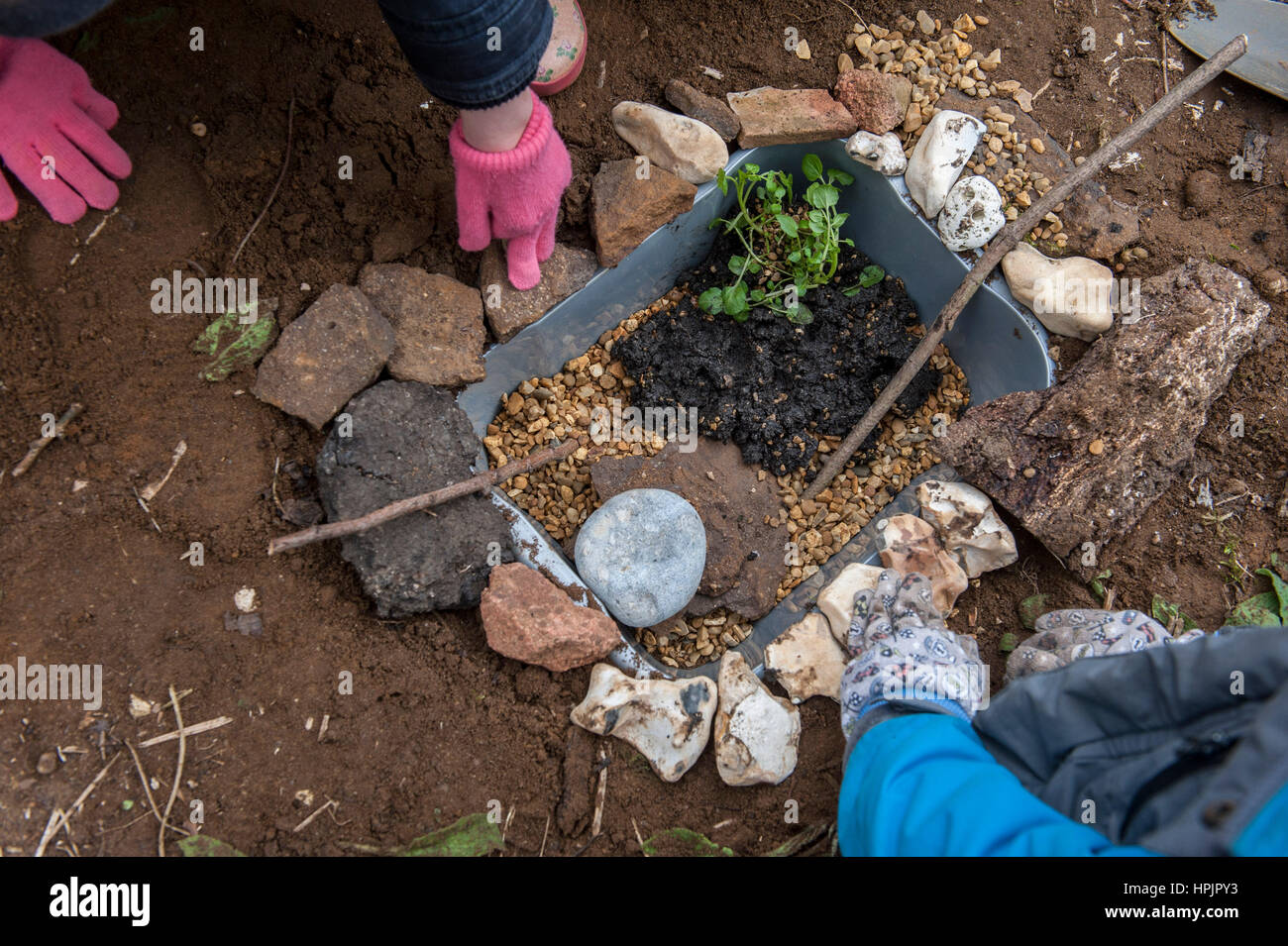 Mini pond kids hi-res stock photography and images - Alamy