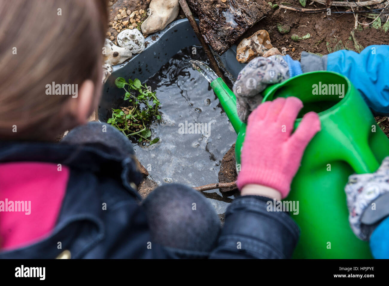 Primary school pond uk hi-res stock photography and images - Alamy